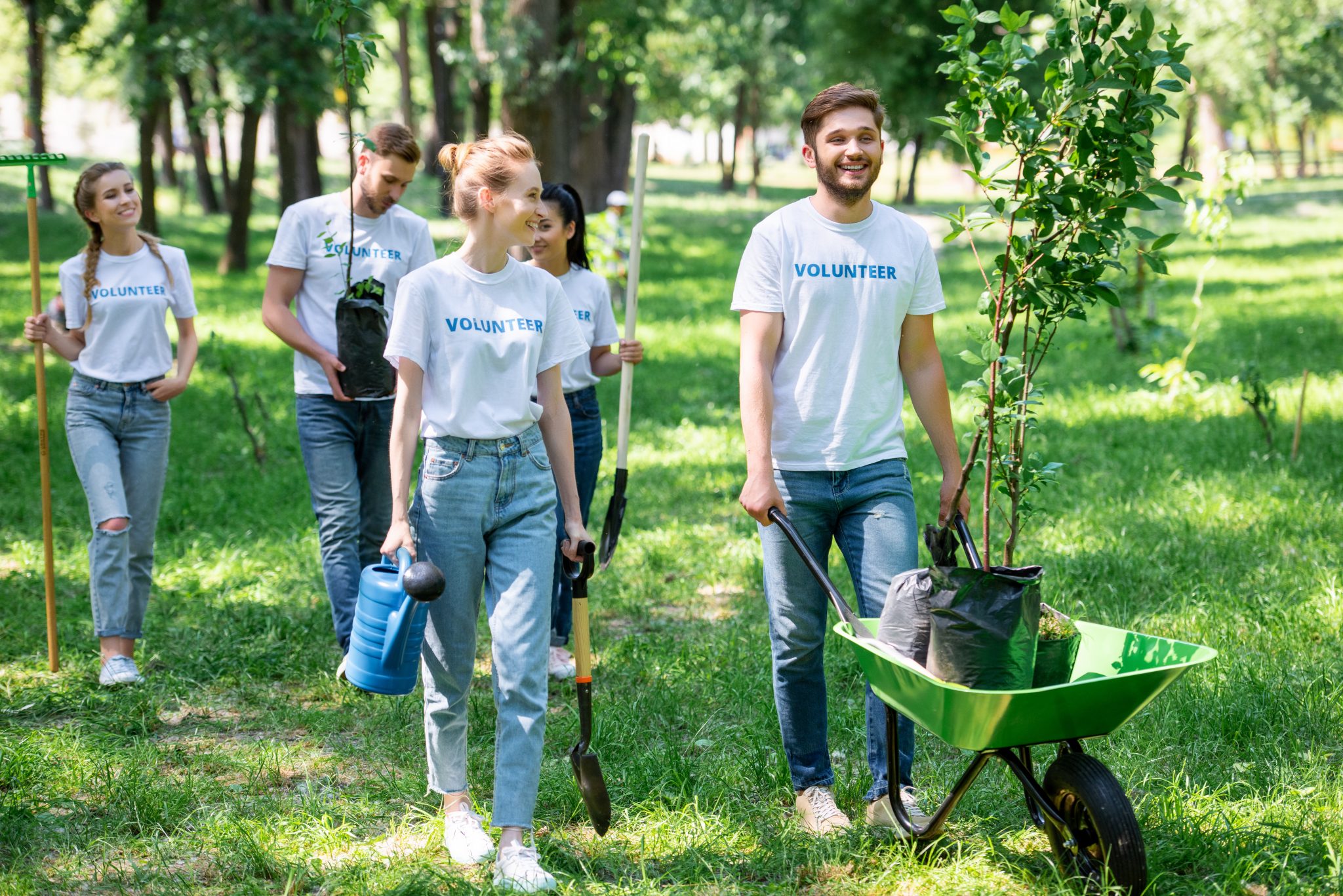 About Us – The Social Value Collective